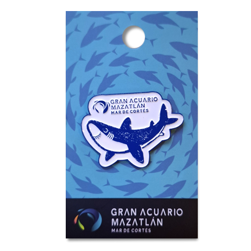 Pin Tiburón Azul Mx Gran Acuario Store